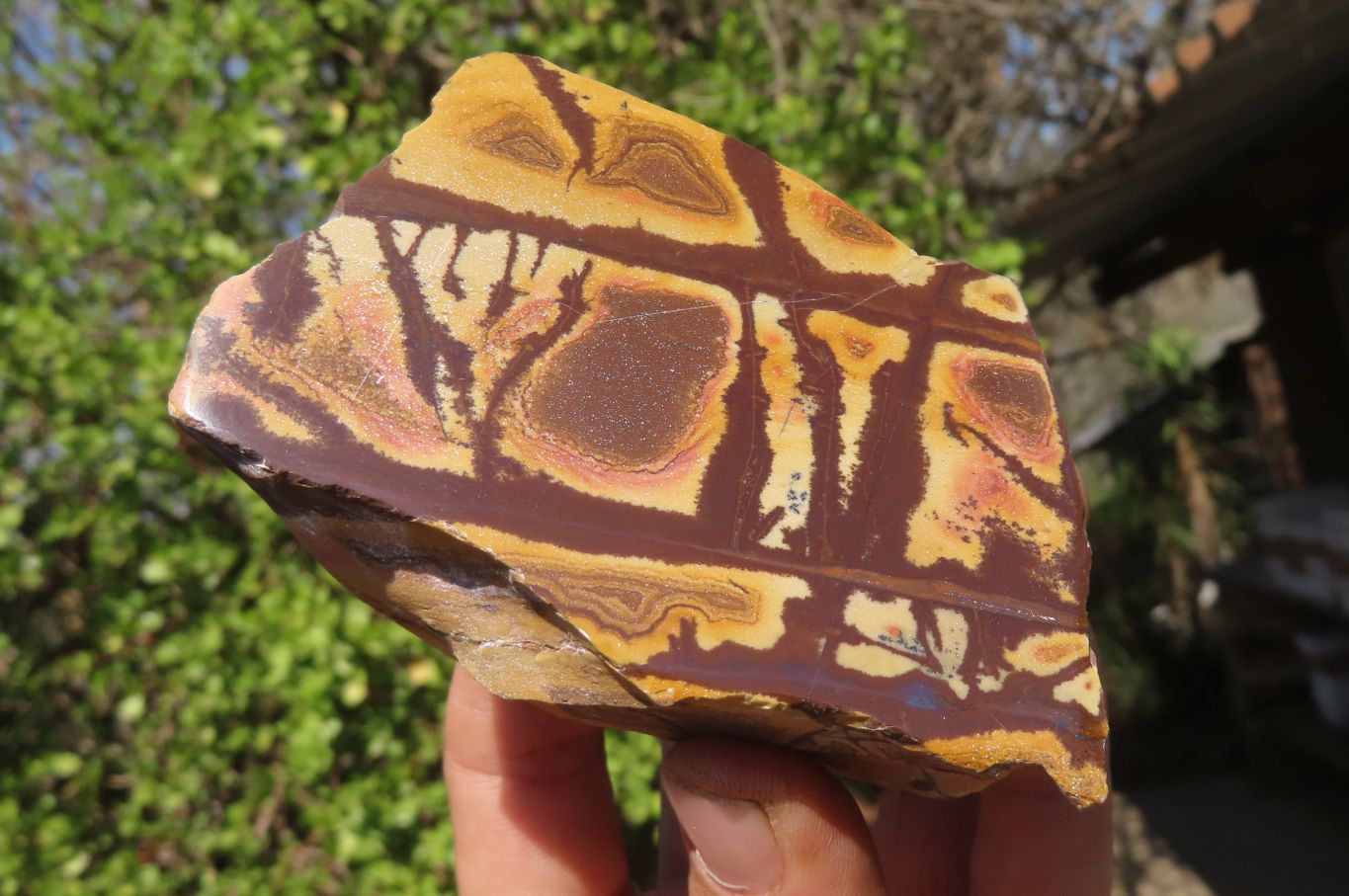 NGUNI JASPER – Toprock Gemstones and Minerals