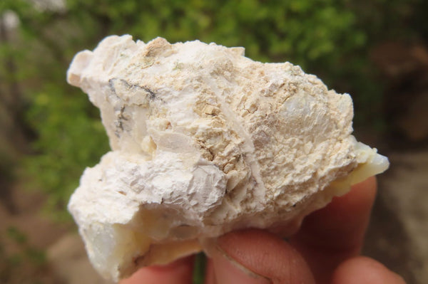 Natural Dendritic Opal Cobbed Specimens x 35 From Namibia | Toprock ...