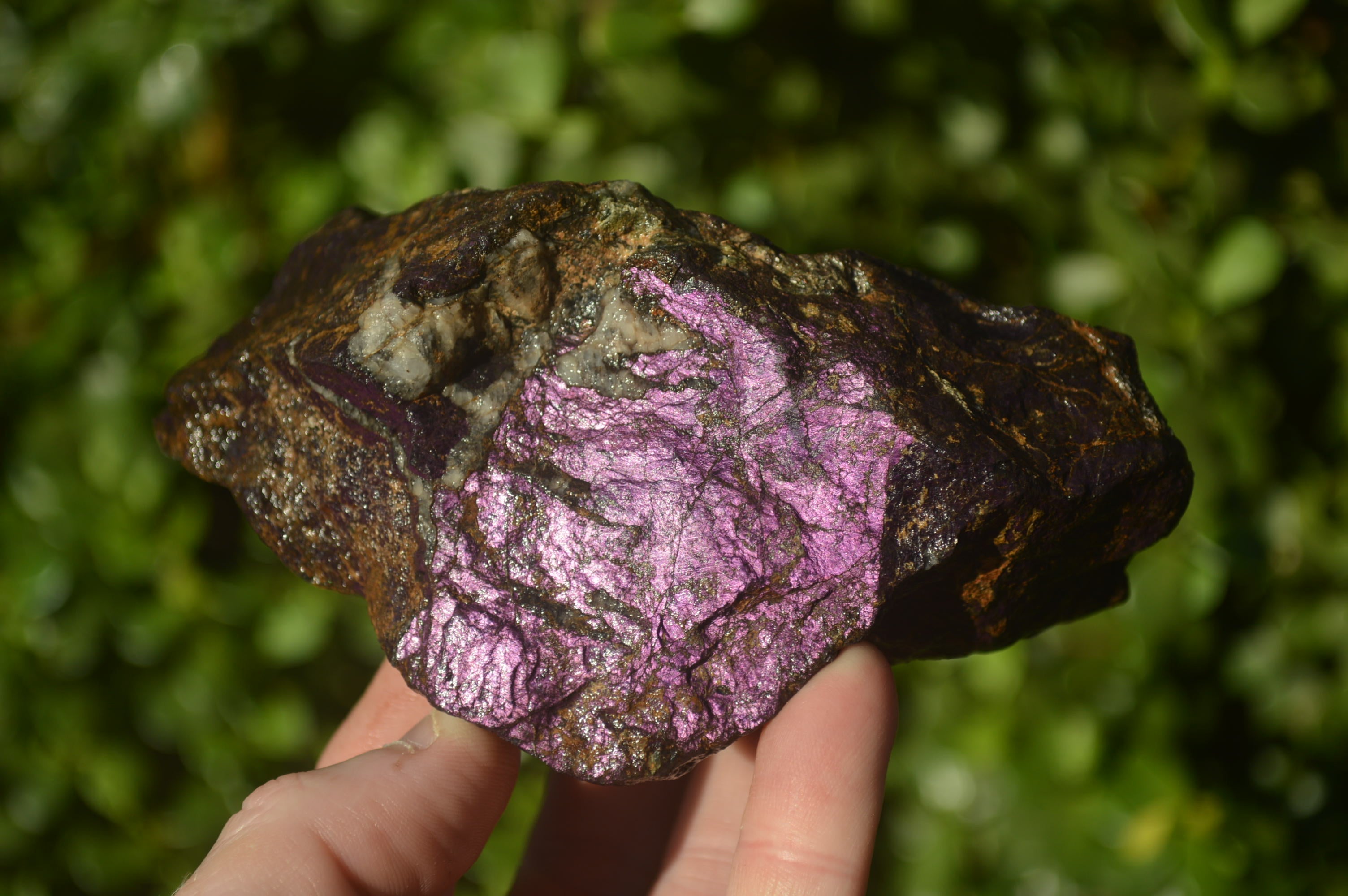 Natural Metallic Purpurite Cobbed Specimens x 5 From Erongo, Namibia ...