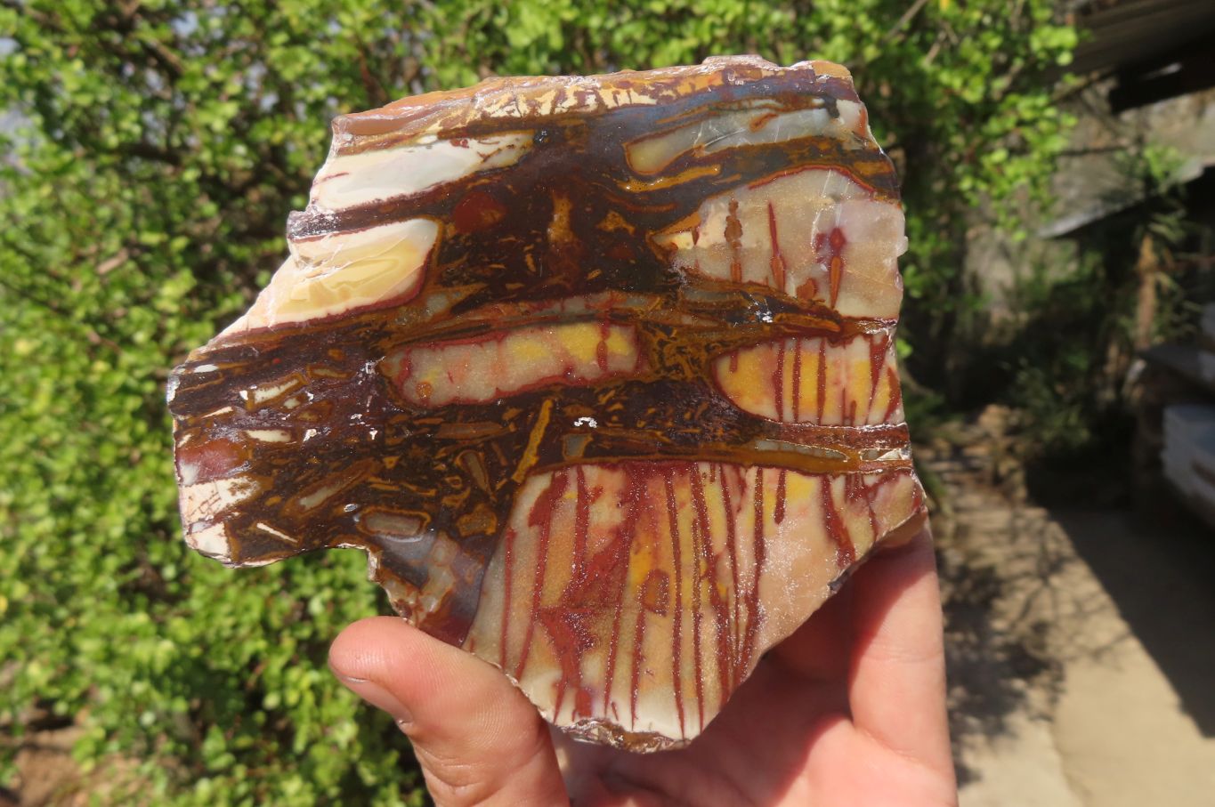 Polished On One Side Nguni Jasper Specimens x 2 From Prieska, South Af ...