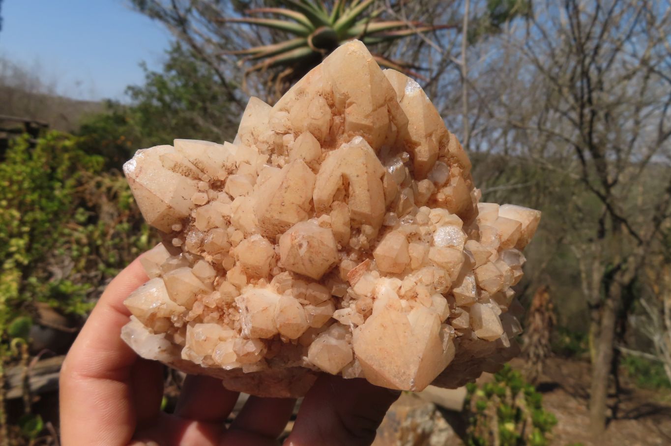 Natural Pineapple Candle Quartz Clusters x 3 From Antsirabe, Madagasca ...