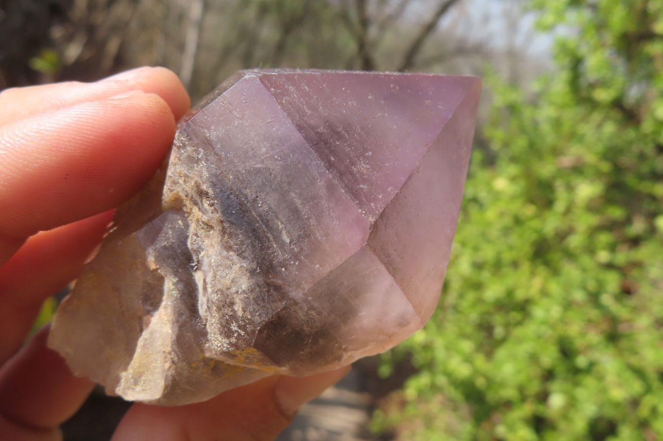 Natural Window Amethyst Crystals x 5 From Ambatondrazaka, Madagascar ...