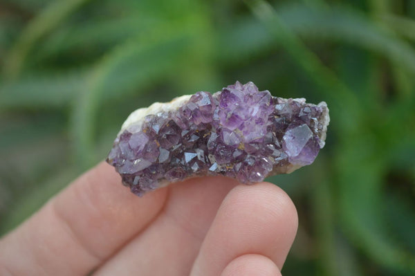 Natural Amethystos Amethyst Specimens x 96 From Kwaggafontein, South ...