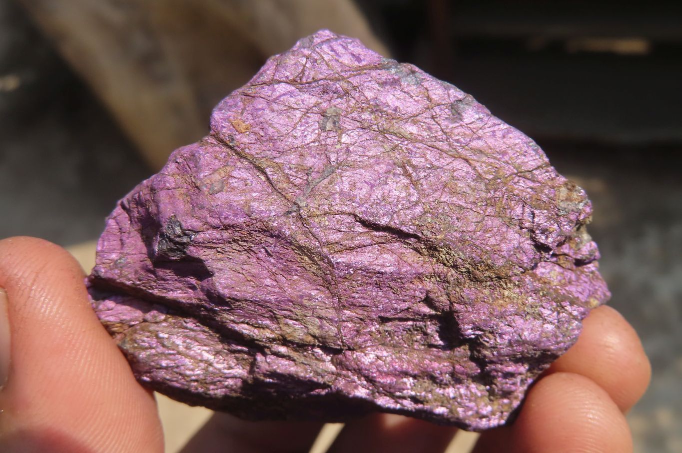 Natural Metallic Purpurite Cobbed Specimens x 12 From Erongo, Namibia ...