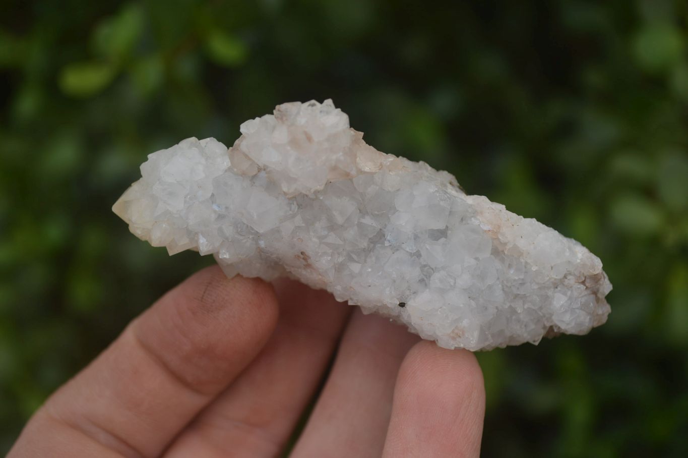 Natural Drusy Mountain Quartz Specimens x 12 From Alberts Mountain, Le ...