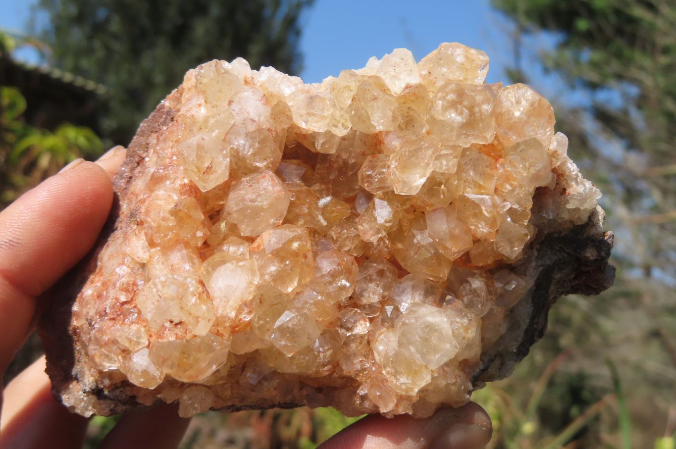 Natural Limonite Quartz Specimens x 5 From Zambia – Toprock Gemstones ...