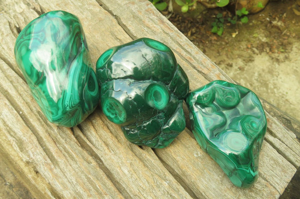 Polished Flower Banded Malachite Free Forms x 3 From Congo | Toprock ...