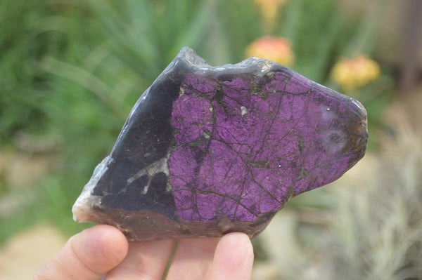 Polished On One Side Metallic Purpurite x 6 From Namibia | Toprock ...