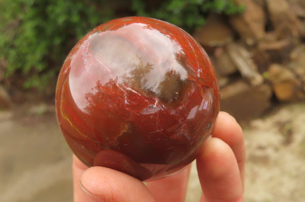 Polished Red Podocarpus Petrified Wood Eggs & Spheres x 4 From ...