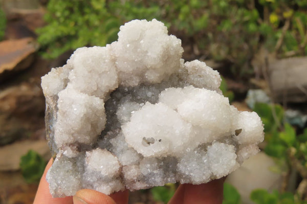 Natural Drusy Mountain Quartz Specimens x 6 From Alberts Mountain ...