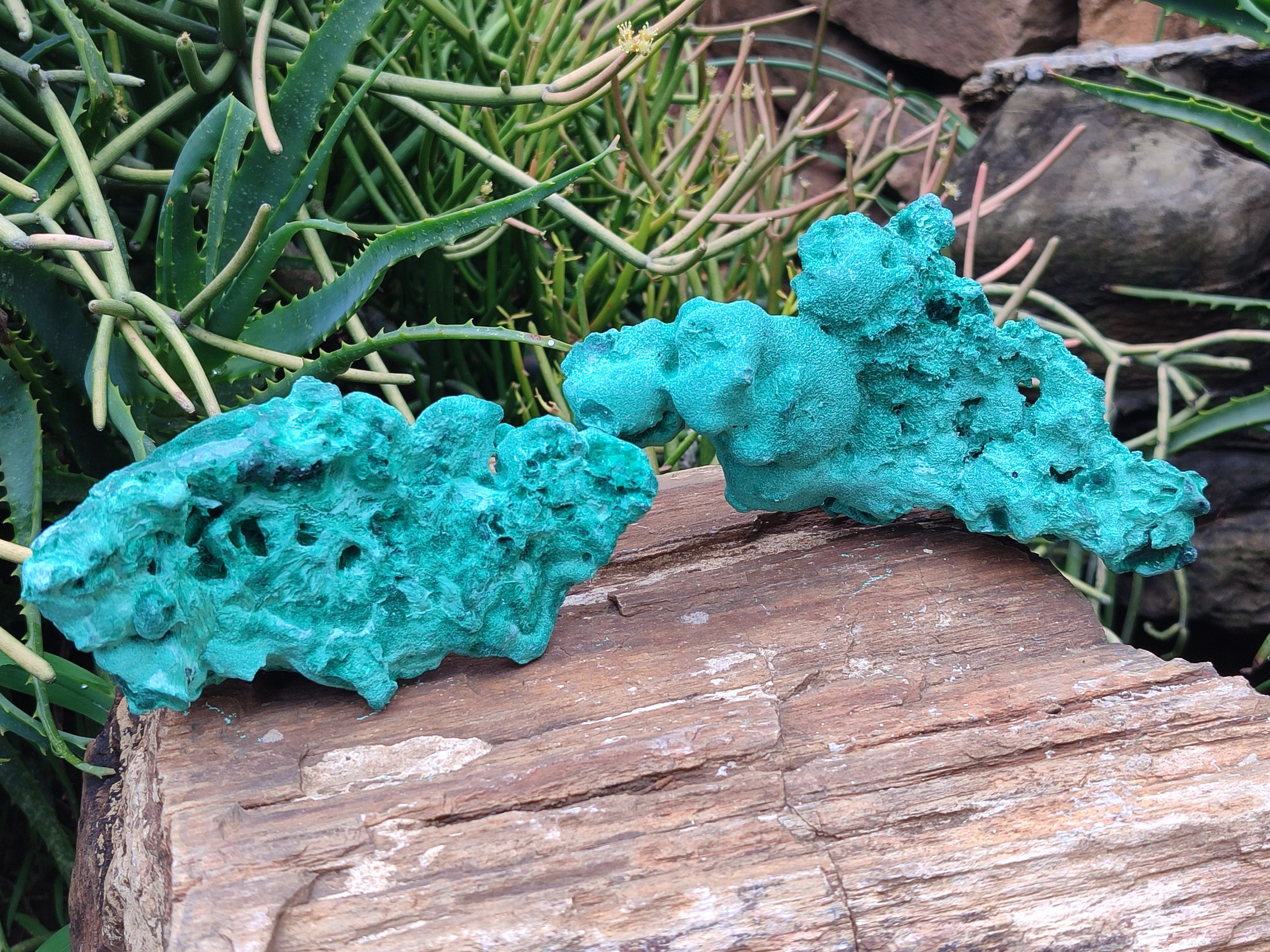 Natural Silky Malachite Specimens x 2 From Kasompe, Congo – Toprock ...