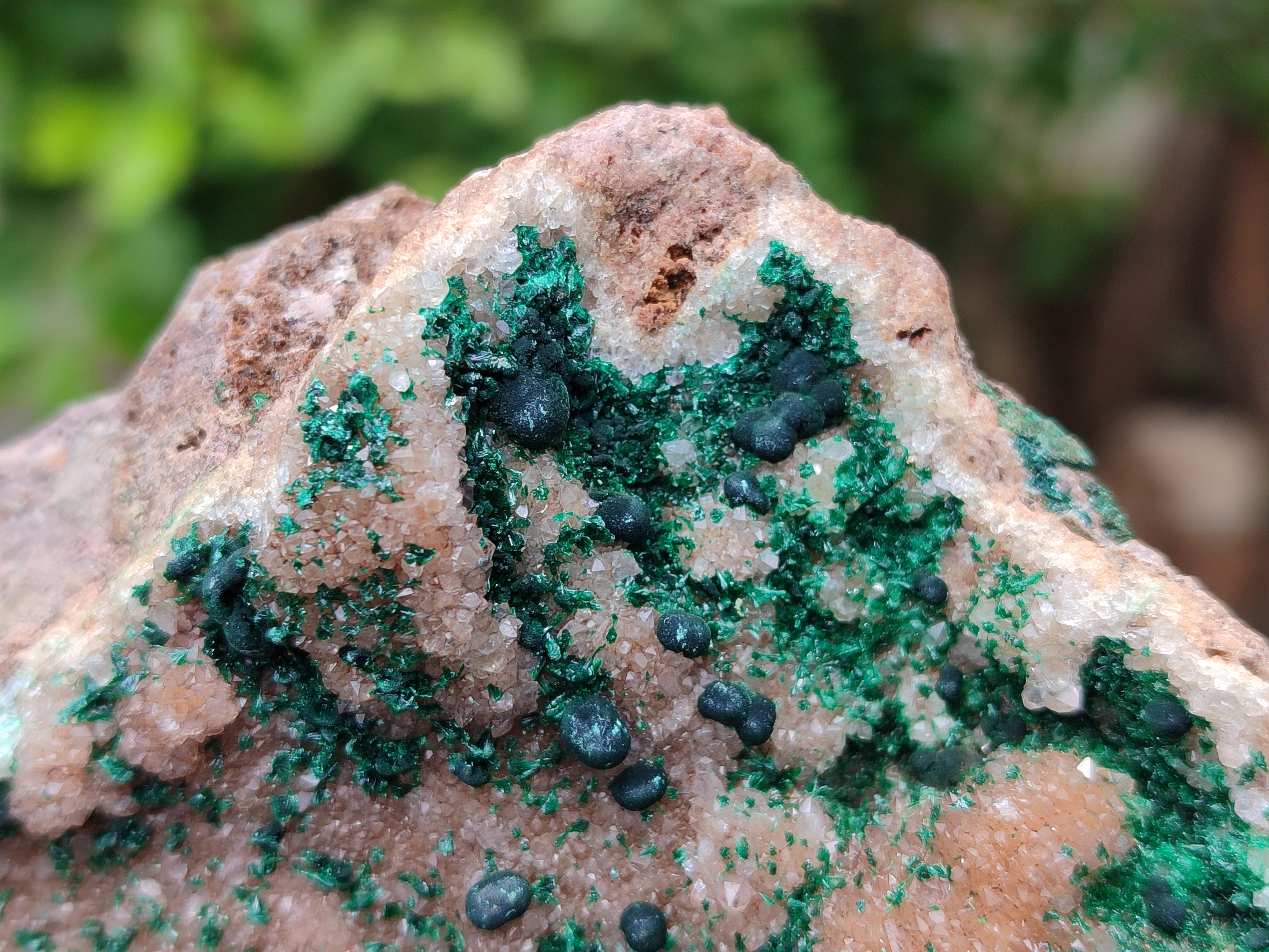 Natural Ball Malachite On Quartz Matrix Specimens x 2 From Kambove, Co ...