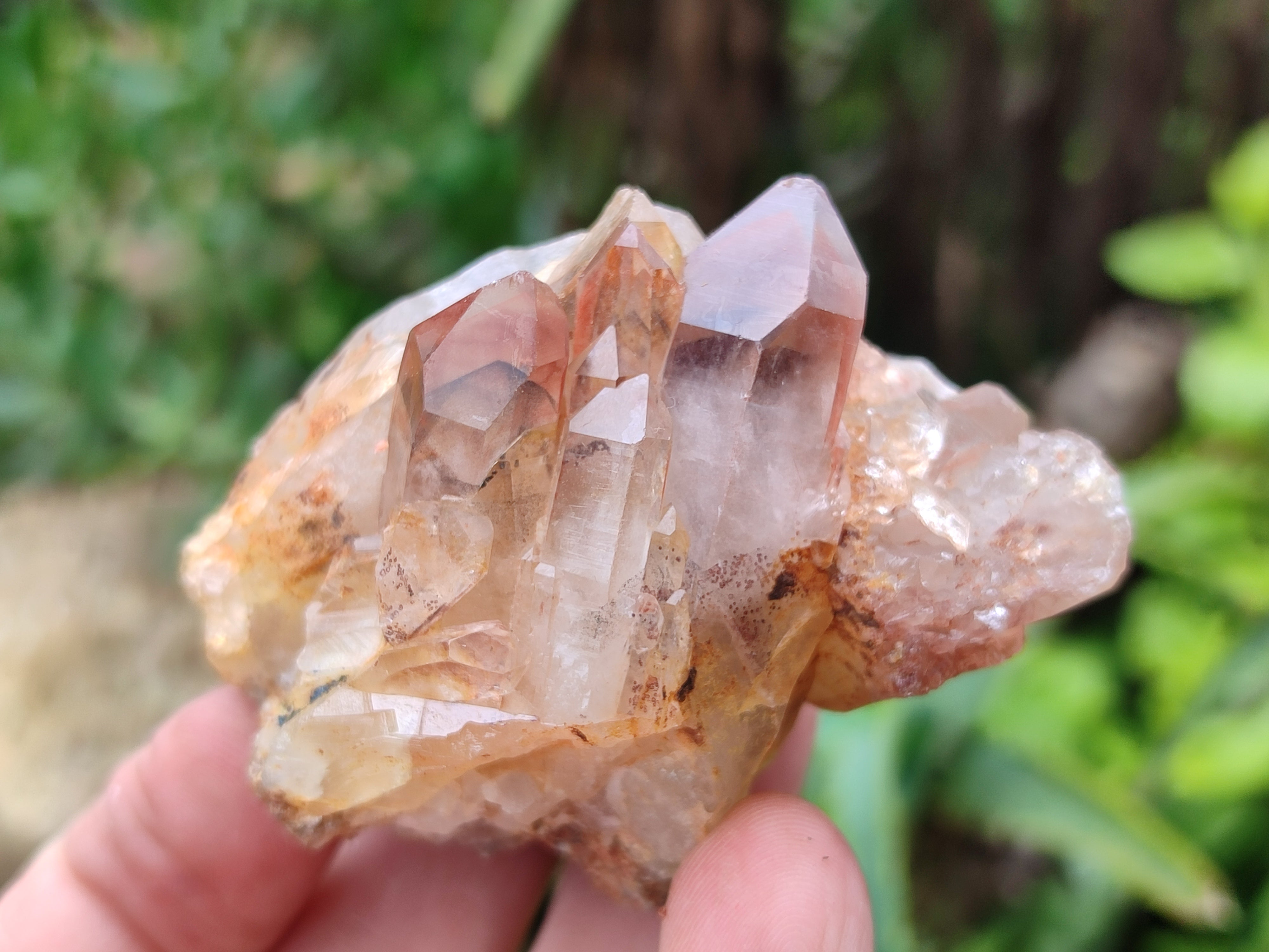 Natural Red Hematoid Quartz Clusters x 12 From Karoi, Zimbabwe ...