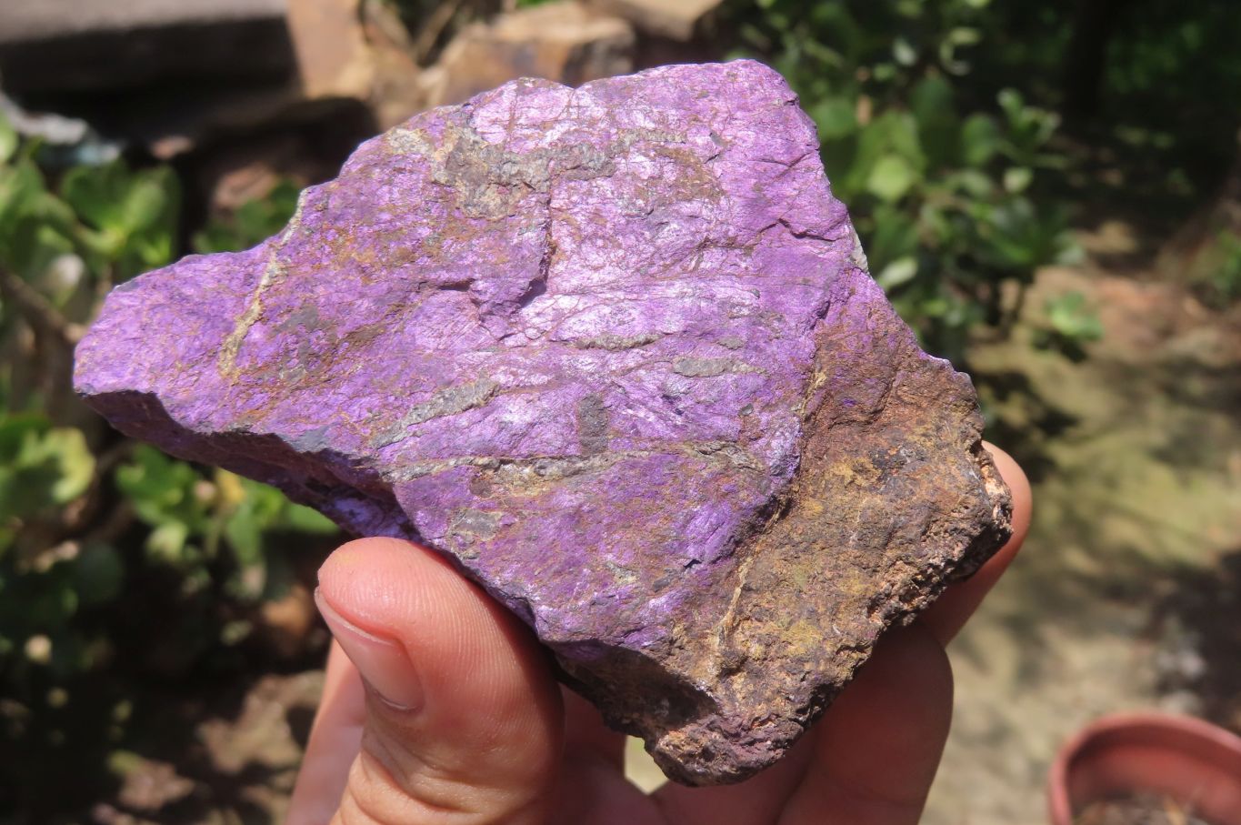 Natural Metallic Purpurite Cobbed Specimens x 6 From Erongo, Namibia ...