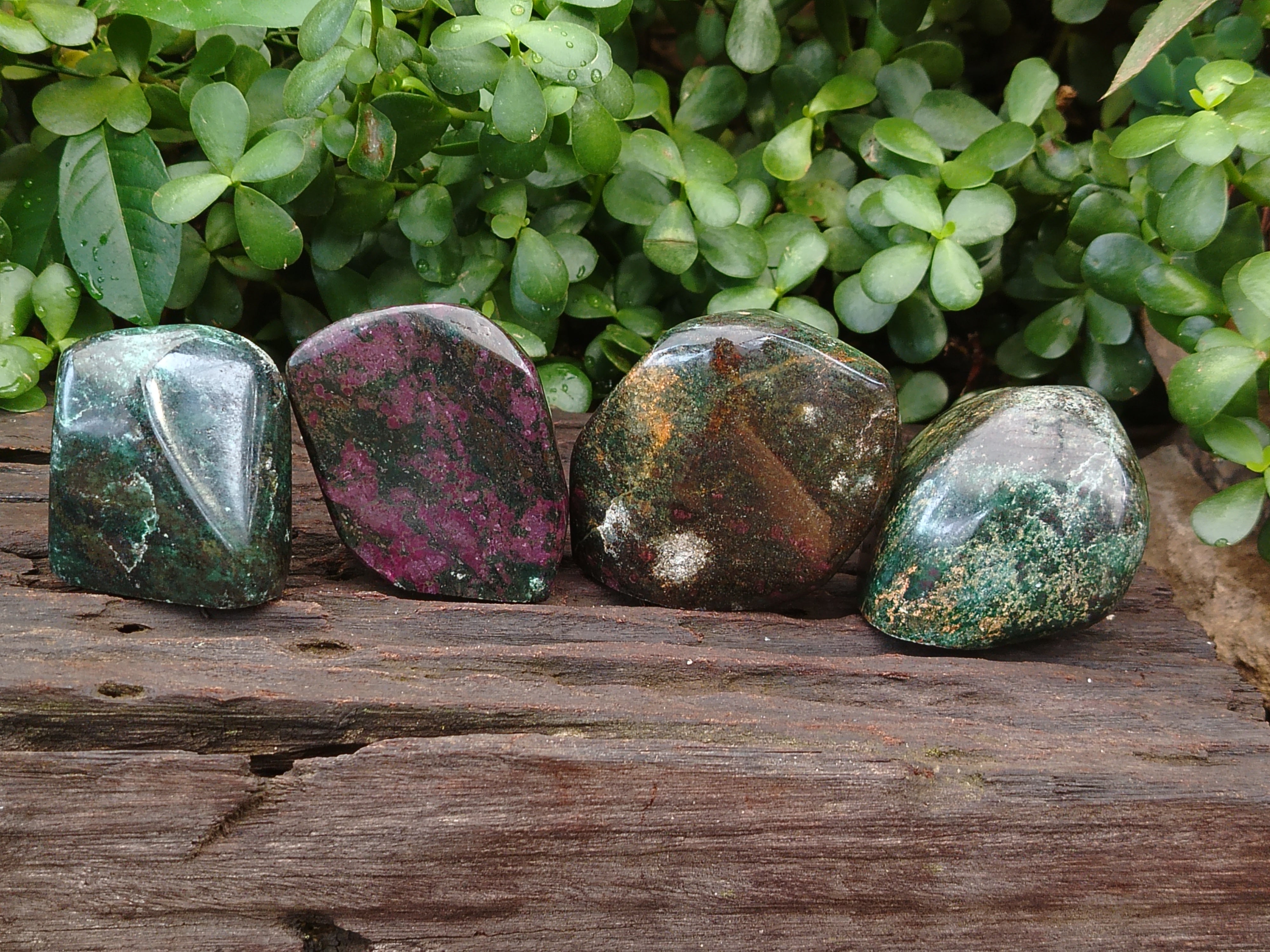 Polished Ruby Corundum In Chrome Verdite Standing Free Forms x 4 From