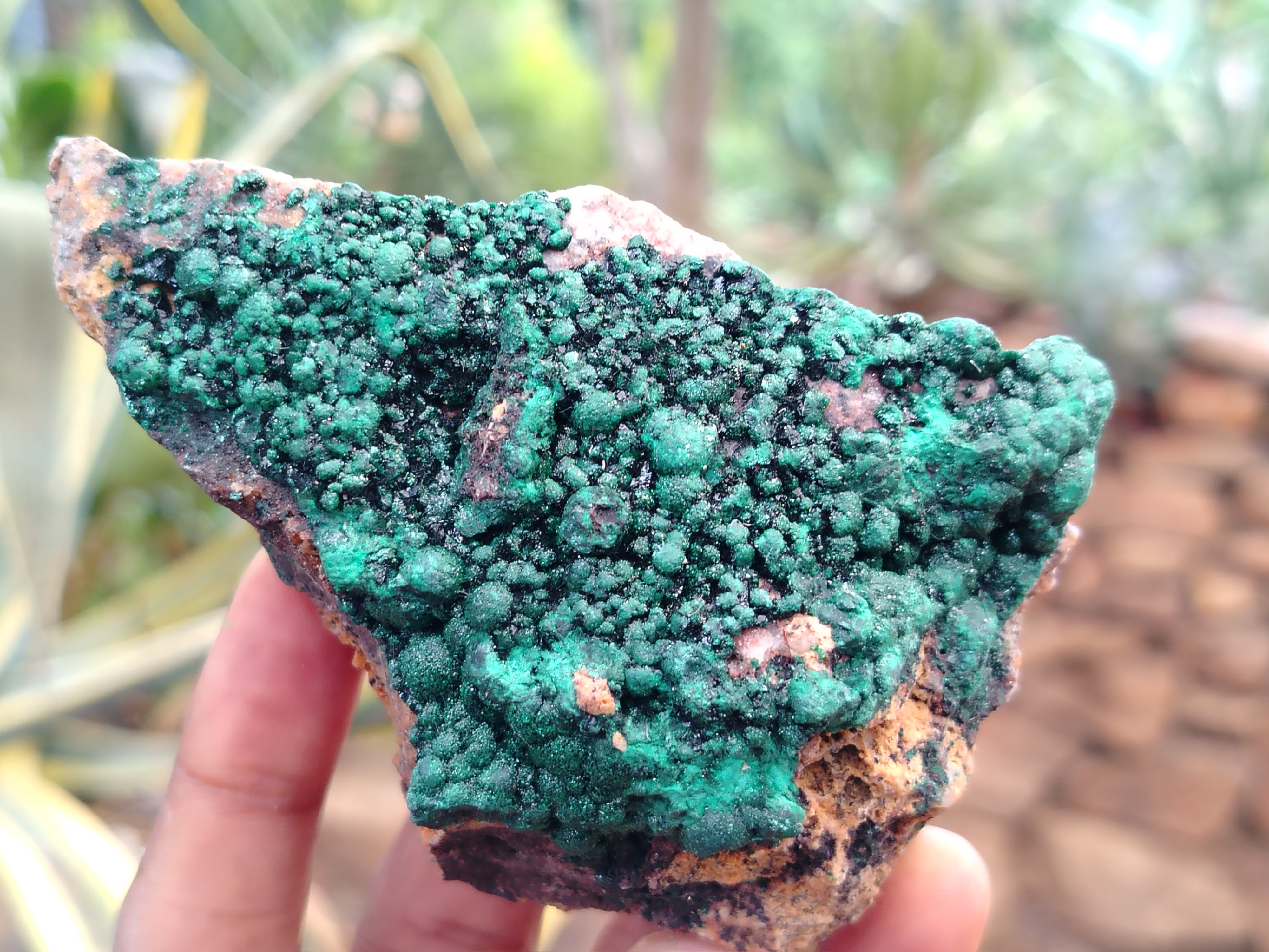 Natural Botryoidal Malachite Specimens x 6 From Congo – Toprock ...