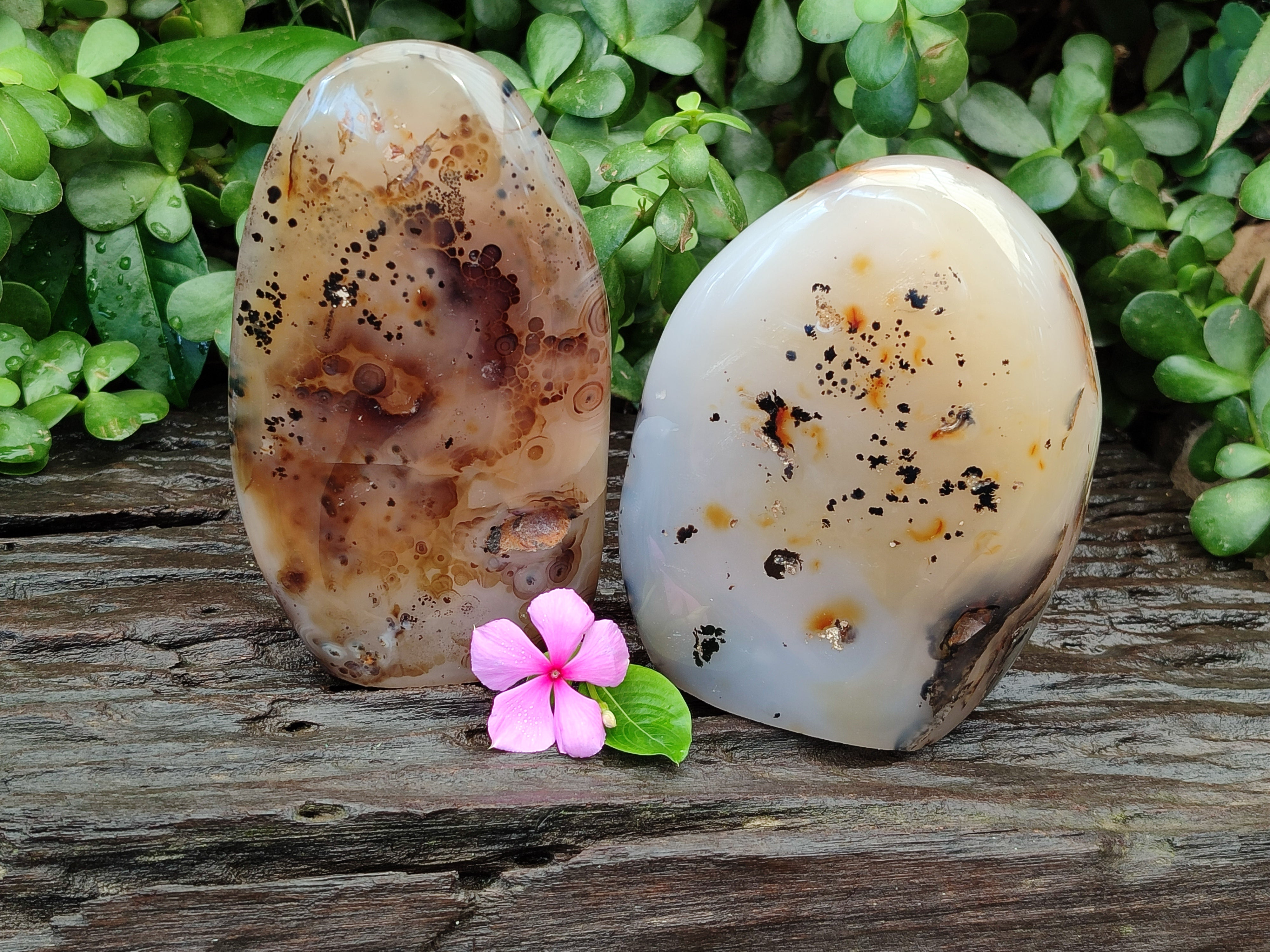Polished Dendritic Agate Standing Free Forms x 2 From Madagascar ...