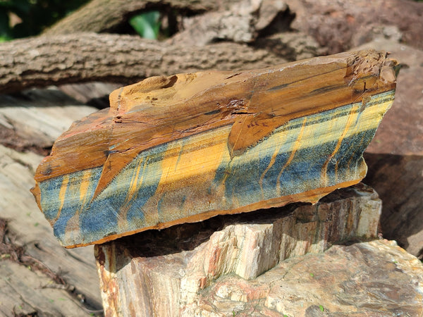 Polished Tigers Eye Specimen x 1 From Prieska, South Africa | Toprock ...