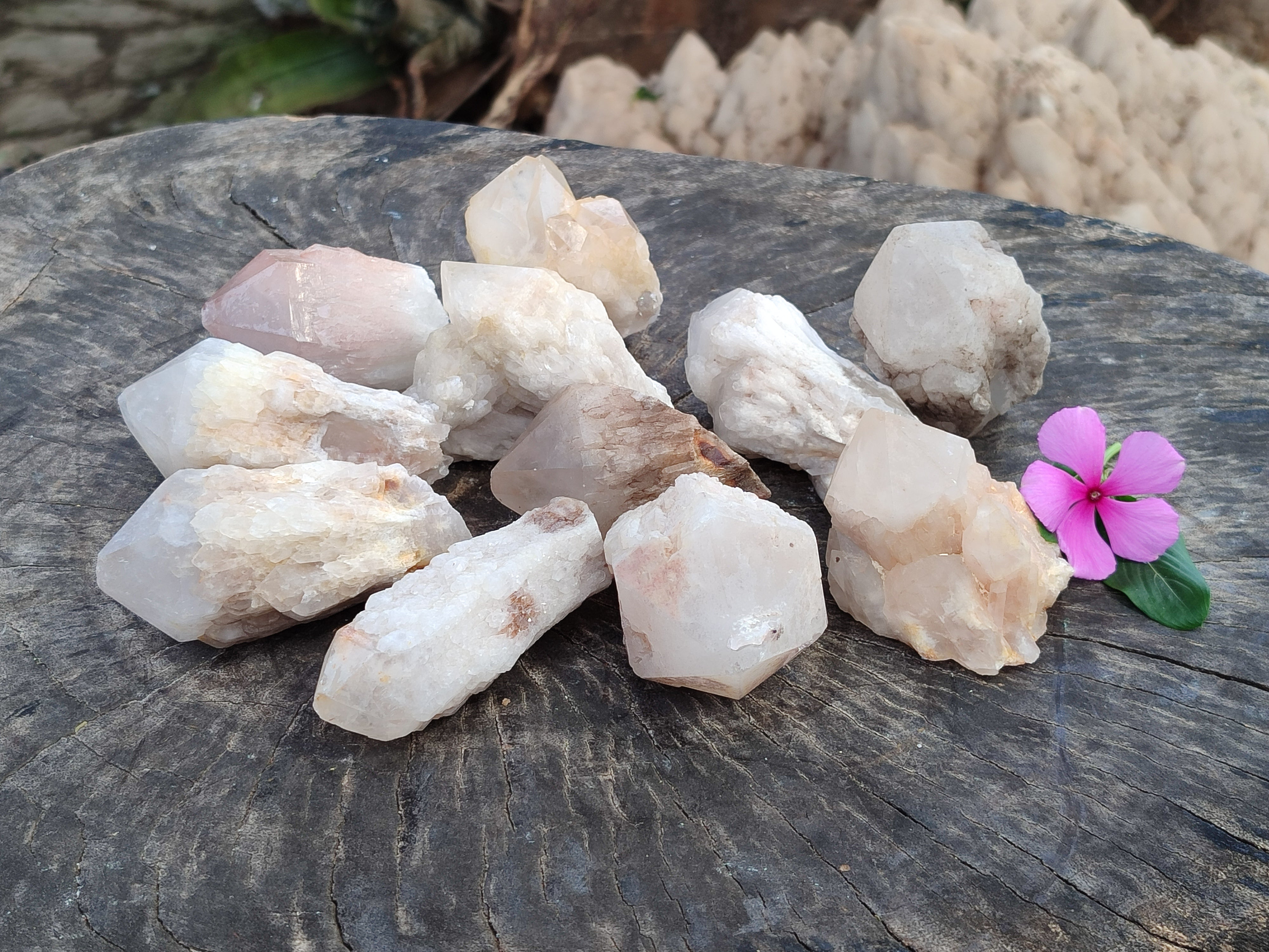 Natural White Pineapple Quartz Crystals x 13 From Madagascar – Toprock ...