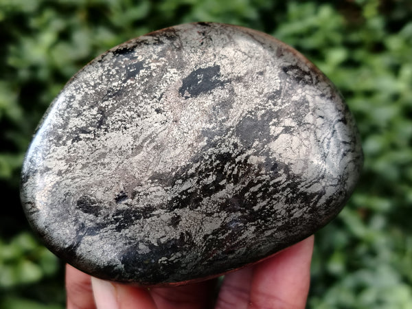 Polished Rare Pharaoh Stone Pyrite in Basalt Palm Stones x 6 Iron Duke ...