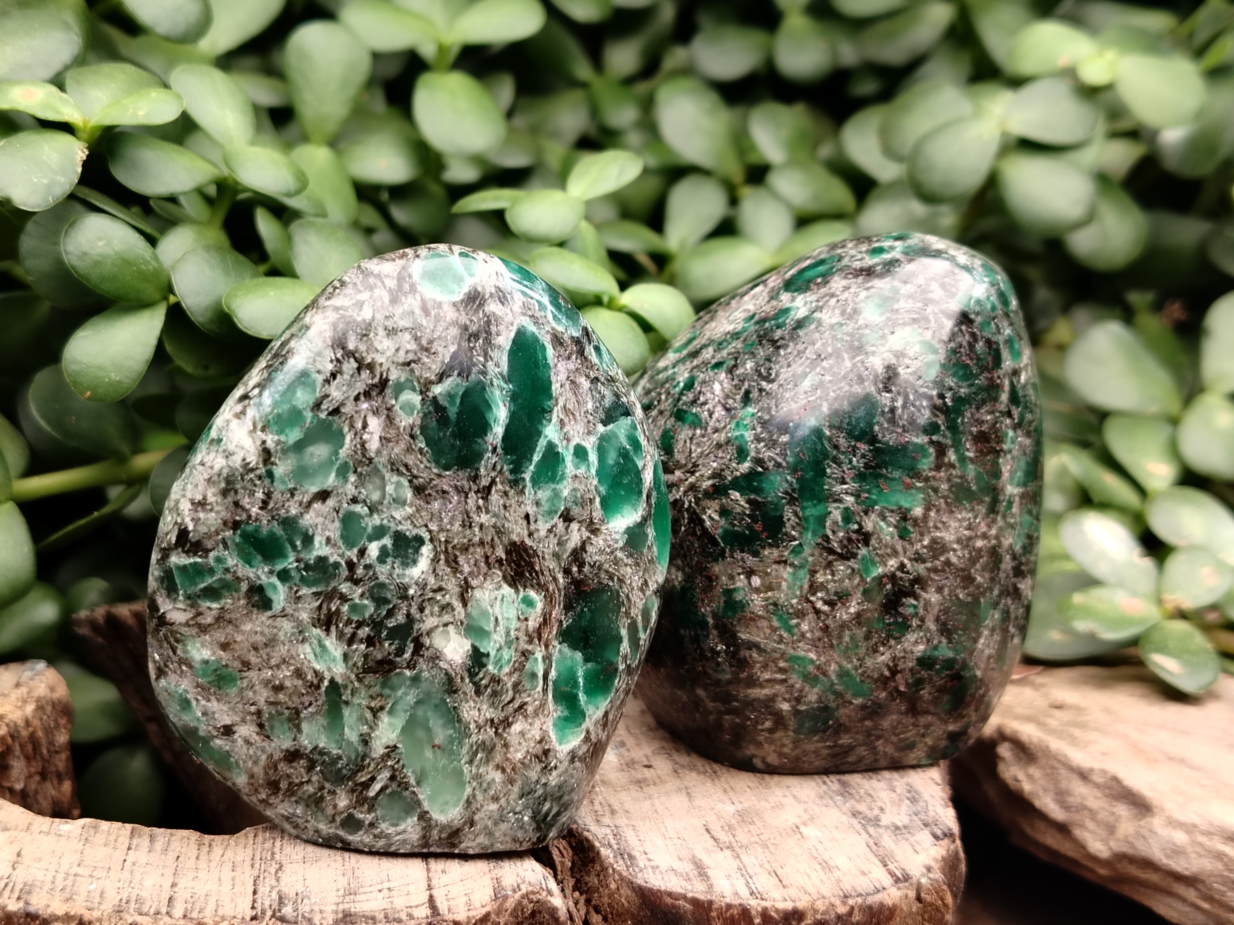 Polished Emerald Mica In Matrix Standing Free Forms x 4 From Mutoko, Z ...