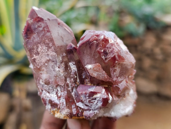Natural Red Hematoid Quartz Clusters x 6 From Karoi, Zimbabwe | Toprock ...