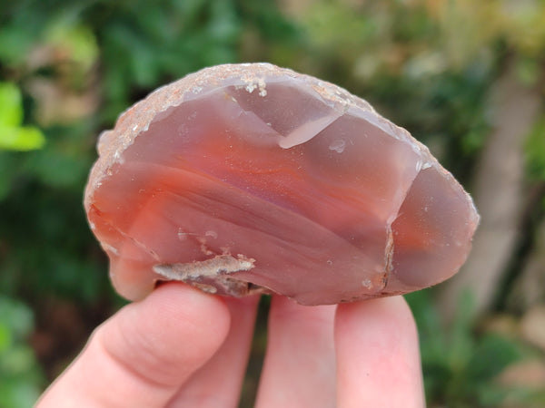 Polished On One Side Red Sashe River Agate Nodules x 13 From Zimbabwe ...