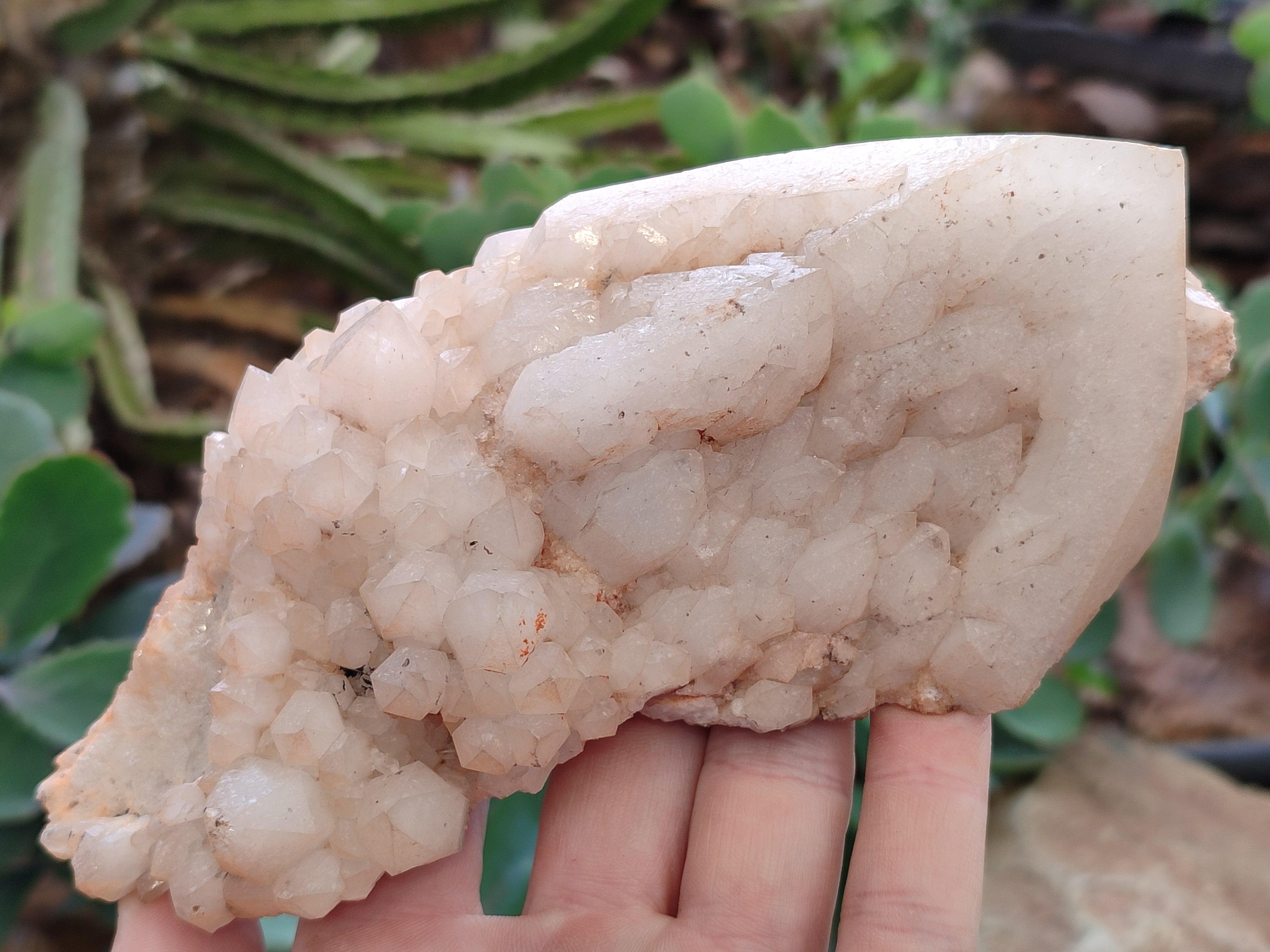 Natural White Cascading Fir Tree Candle Quartz Clusters x 3 From Madag ...