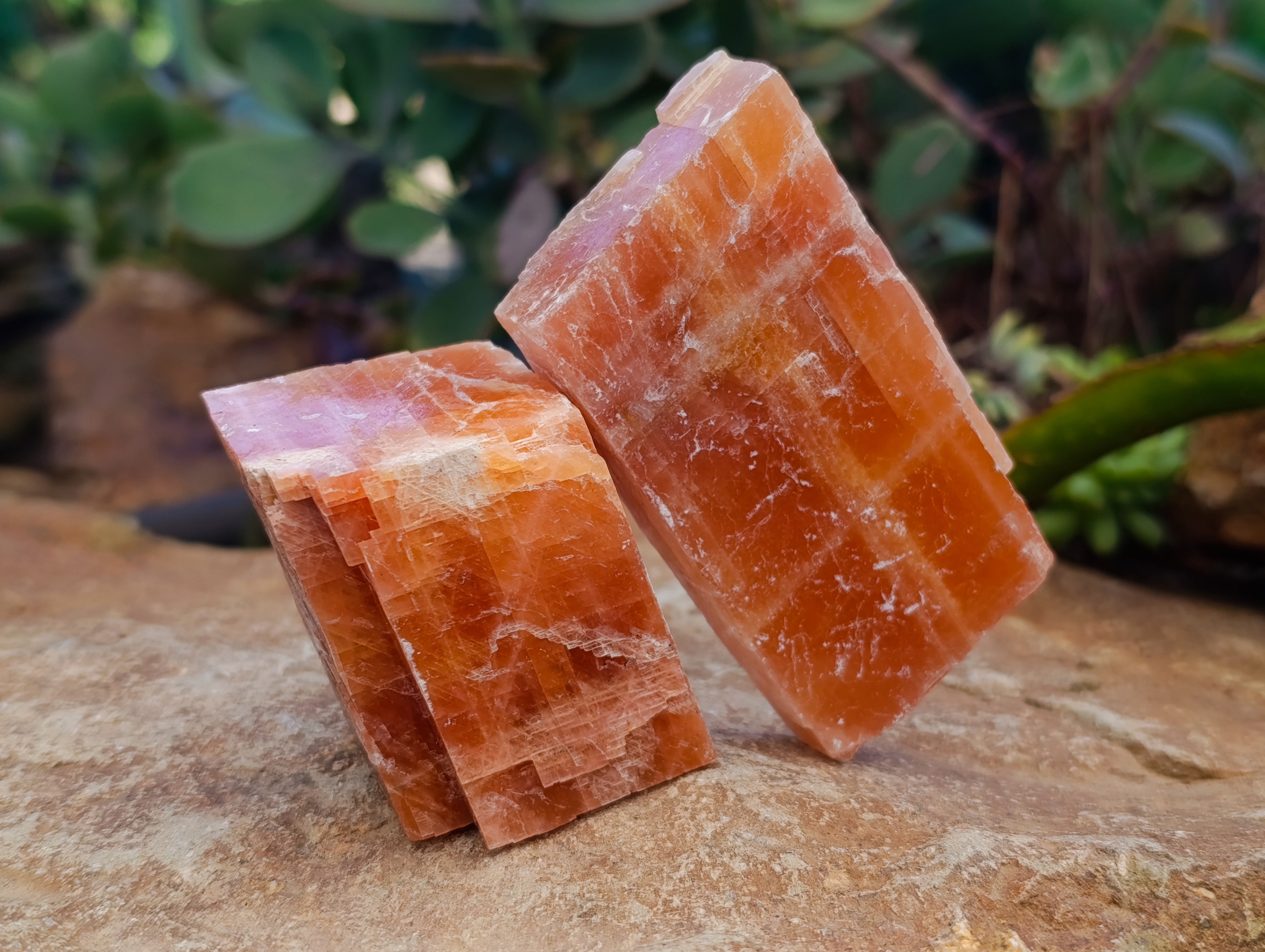 Natural Sunset Orange Calcite Specimens x 12 From Spitzkop, Namibia