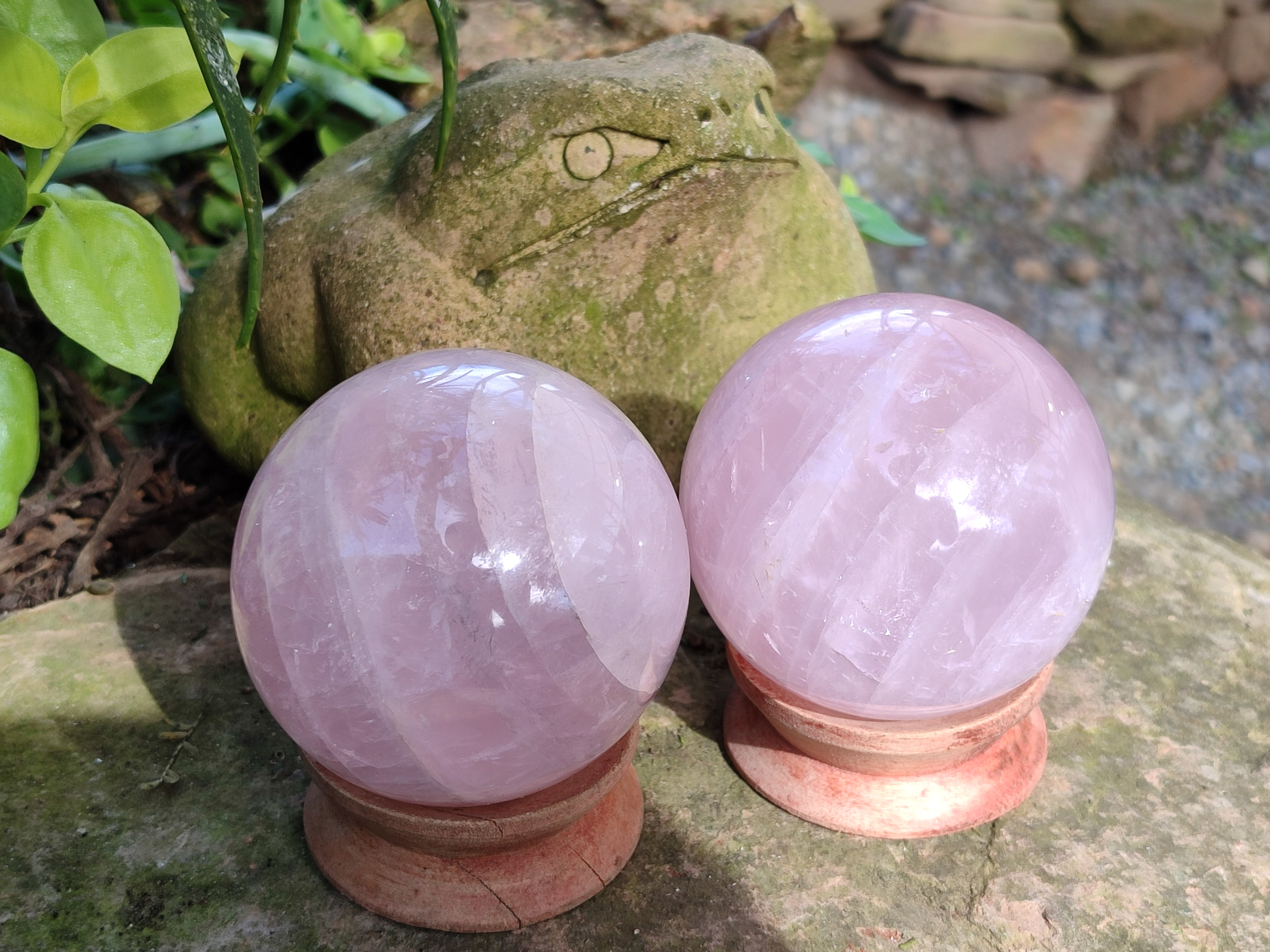 Polished Gemmy Rose Quartz Spheres, 1 with Star/Asterism x 6 From Amba ...