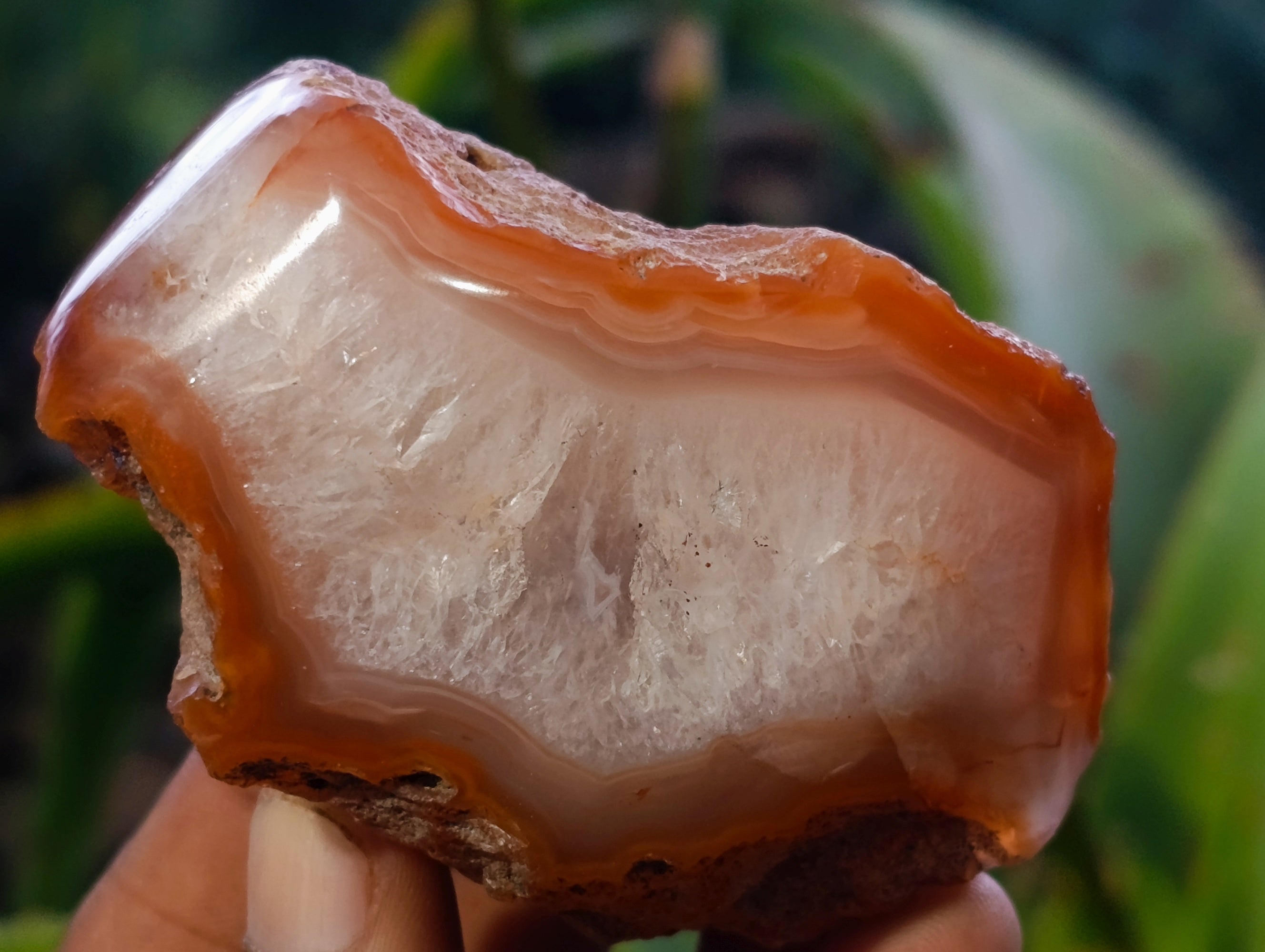 Polished On One Side Red Shashe River Agate Nodules x 24 From Zimbabwe