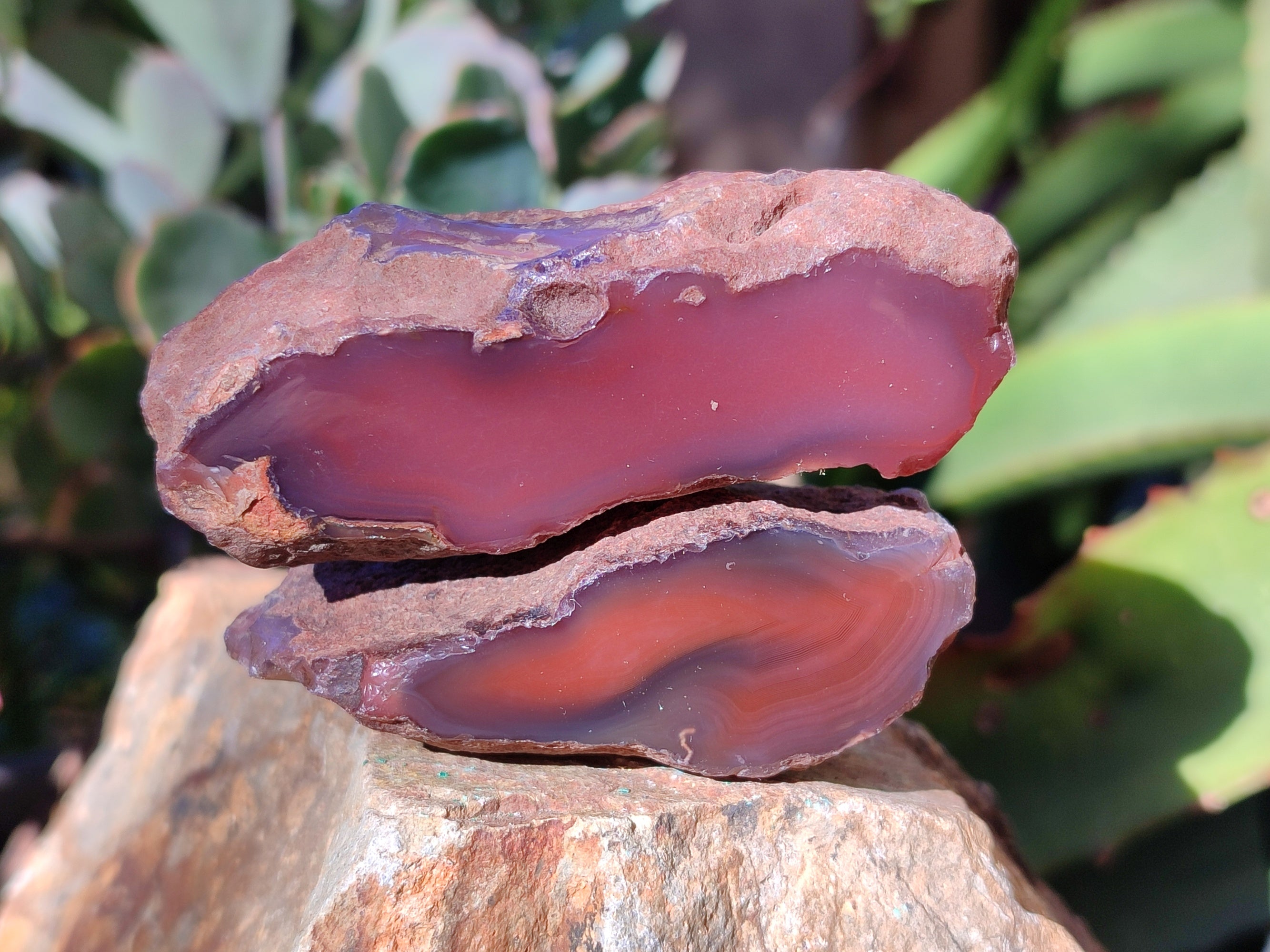 Polished On One Side Red Shashe River Agate Nodules x 12 From Zimbabwe ...