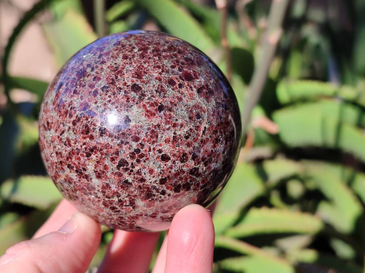 Polished Red Pyrope Garnet Matrix Spheres x 3 From Mahajanga, Madagasc