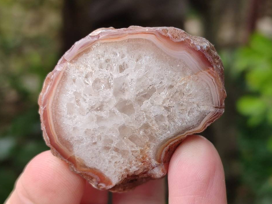 Polished On One Side Red Shashe River Agate Nodules x 12 From Zimbabwe ...