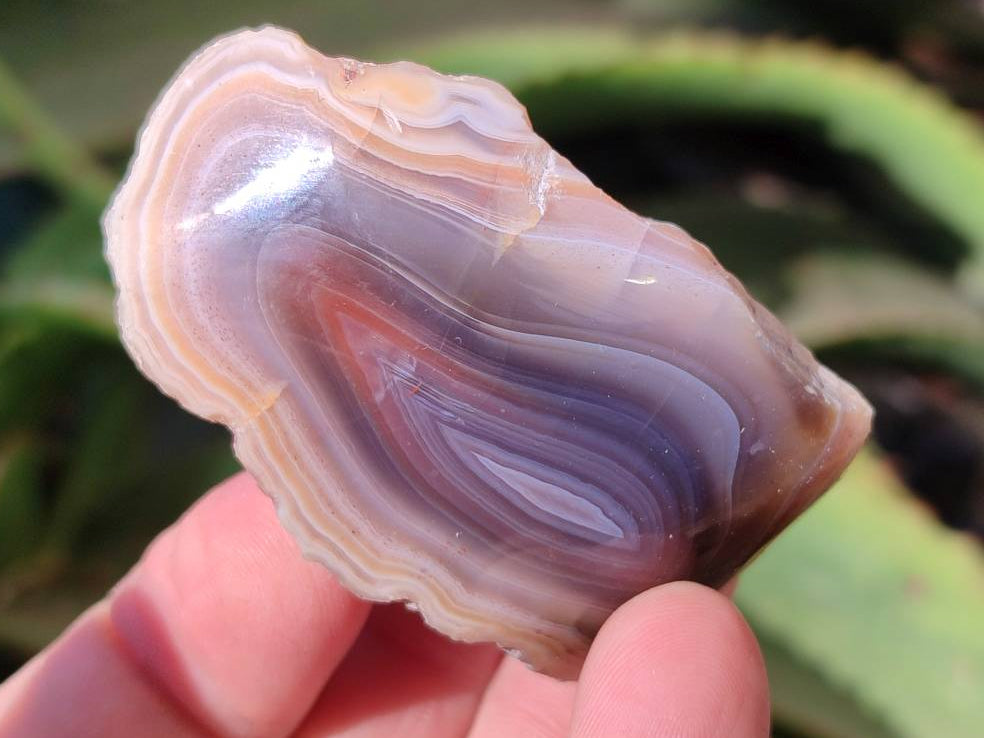 Polished On One Side Red Shashe River Agate Nodules x 28 From Zimbabwe ...