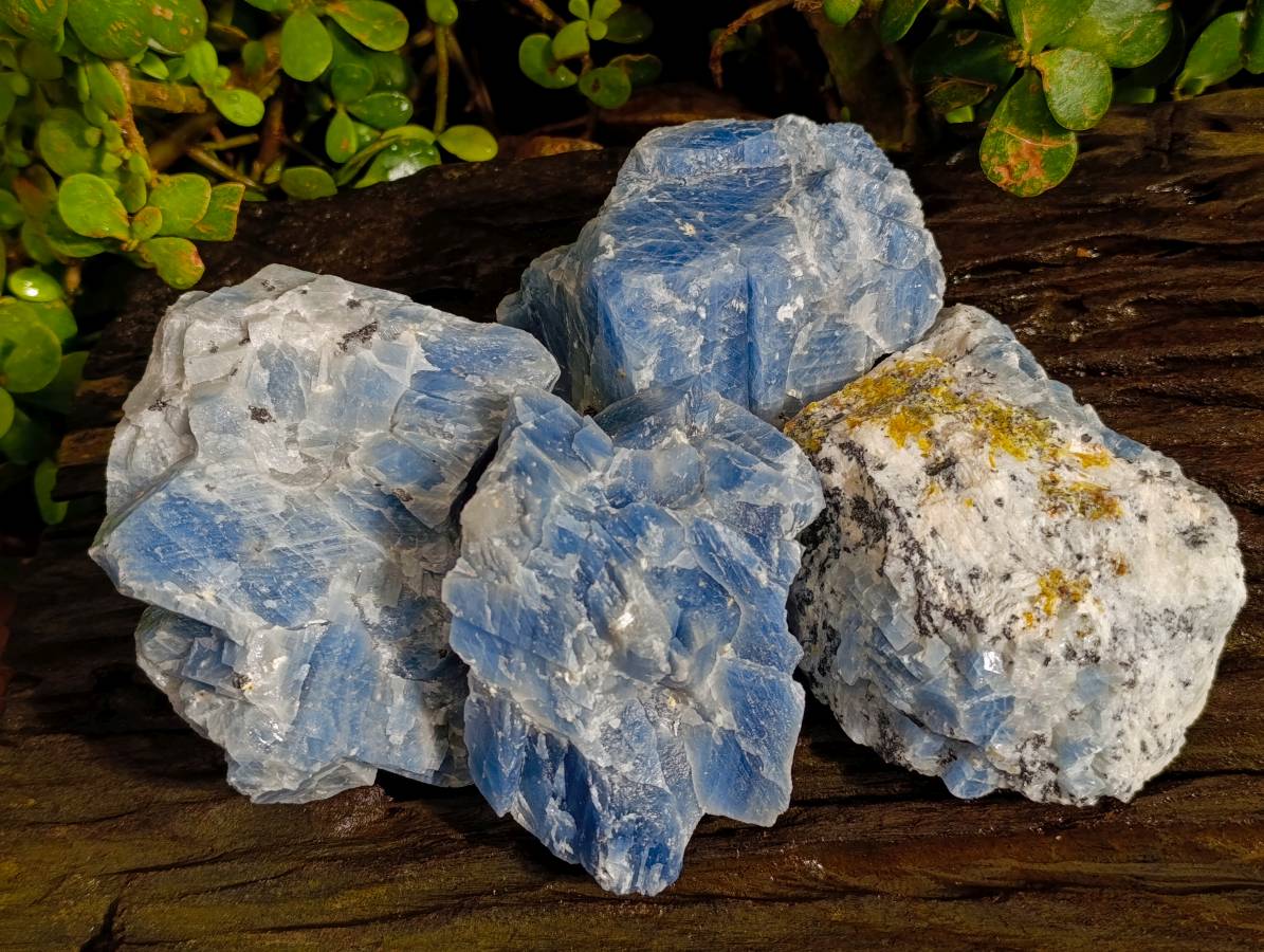 Natural Sky Blue Calcite Specimens x 4 From Namibia