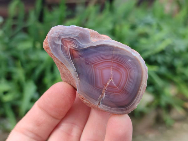 Polished On One Side Red Sashe River Agate Nodules x 24 From Zimbabwe ...