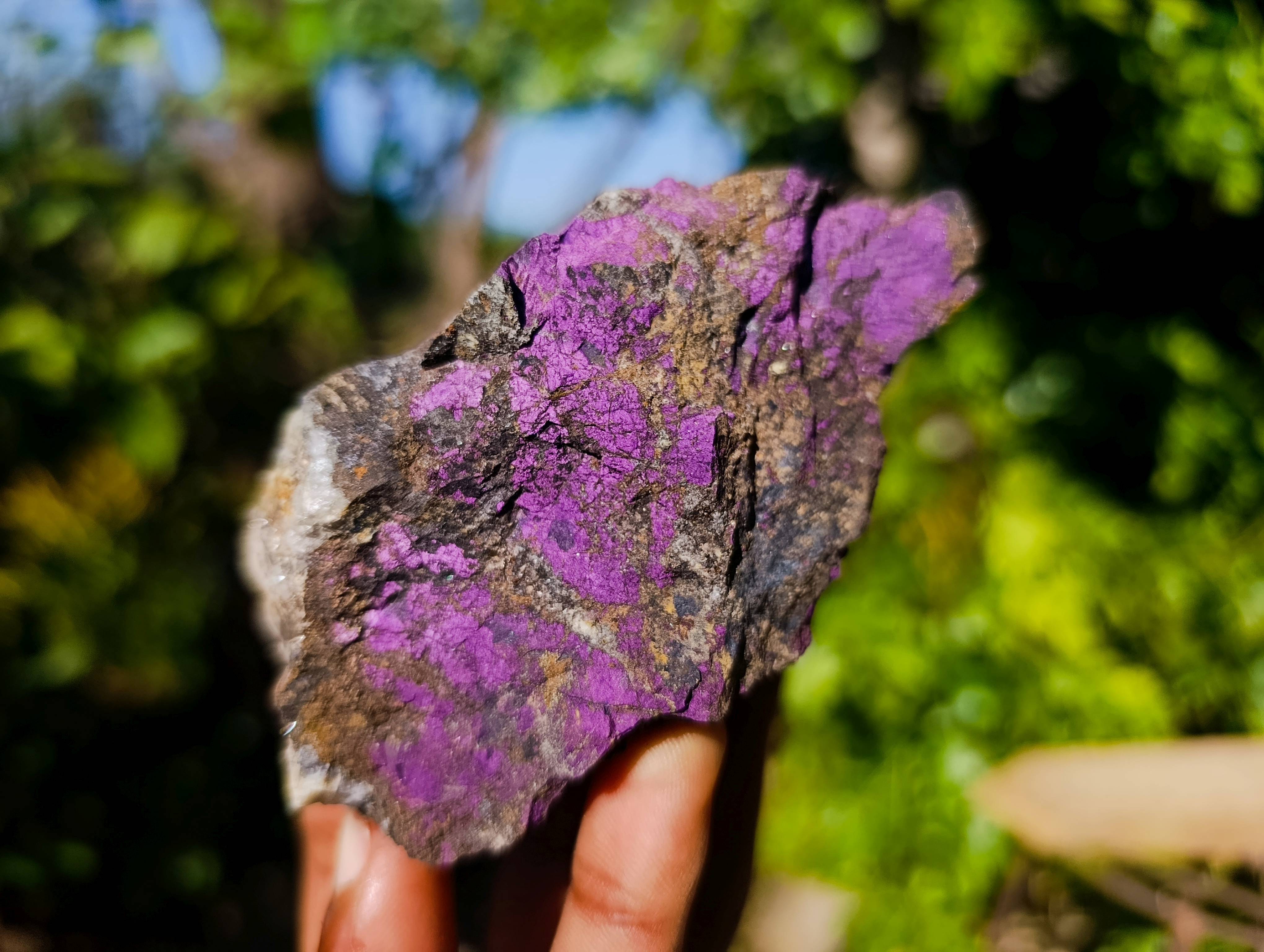 Natural Metallic Purpurite Specimens x 12 From Erongo, Namibia ...