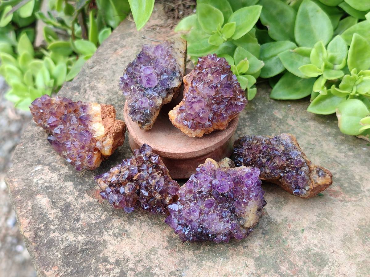 Natural Amethystos Amethyst Clusters x 35 From Kwaggafontein, South Af