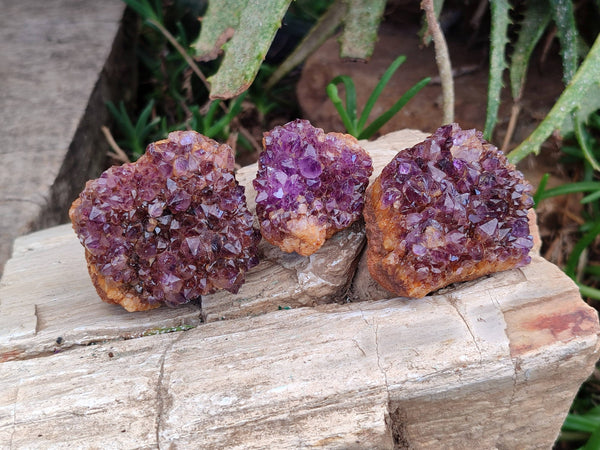 Natural Amethystos Amethyst Clusters x 35 From Kwaggafontein, South ...