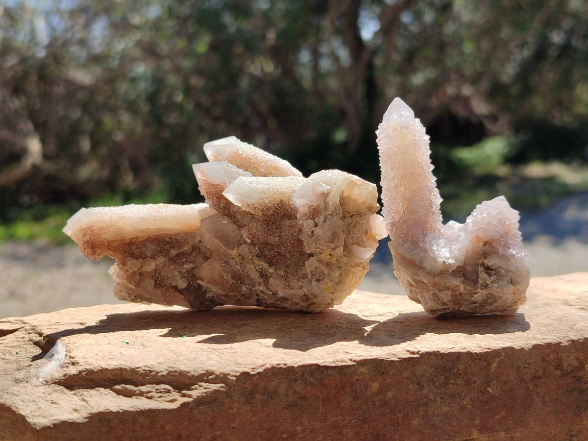 Natural Golden Limonite Spirit Quartz Clusters x 9 From Boekenhouthoek ...