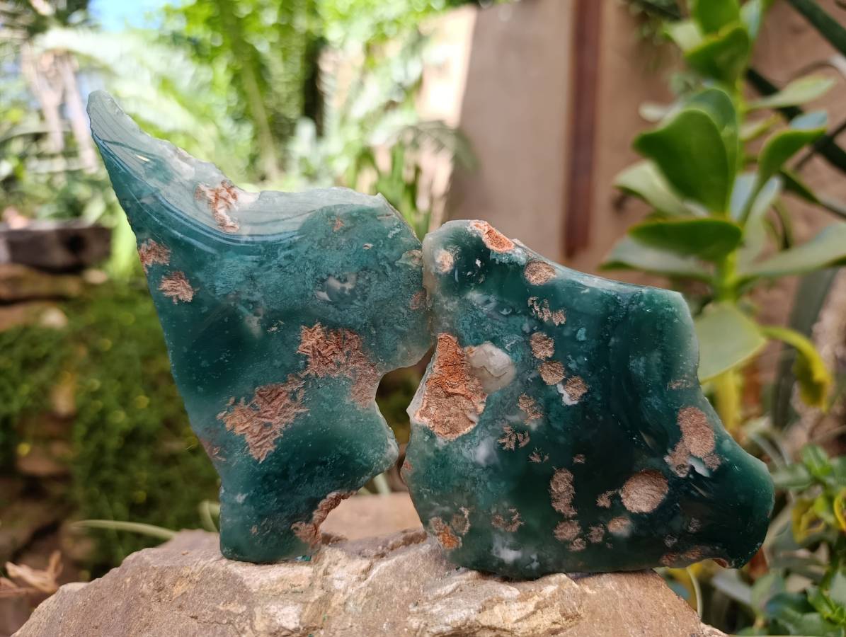 Polished On One Side Mtorolite Plates x 6 From Mutorashanga, Zimbabwe ...
