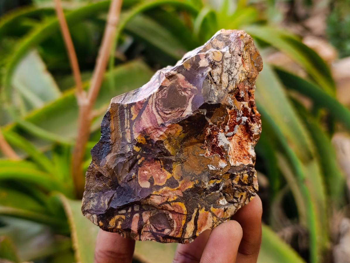 Natural Nguni Jasper Cobbed Specimens x 12 From N.Cape, South Africa