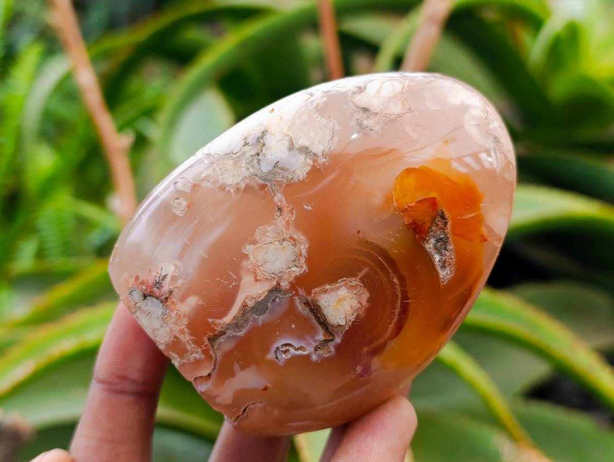 Polished Flower Agate Standing Free Forms x 6 From Antsahalova, Madaga ...