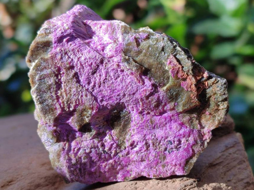 Natural Stichtite Cobbed Specimens x 24 From Barberton, South Africa