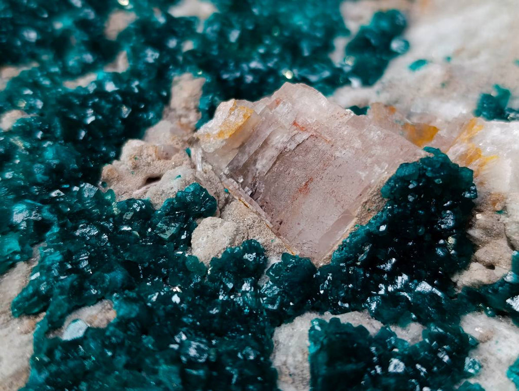 Natural XXL Dioptase on Dolomite Museum Specimen x 1 From Likasi, Cong ...