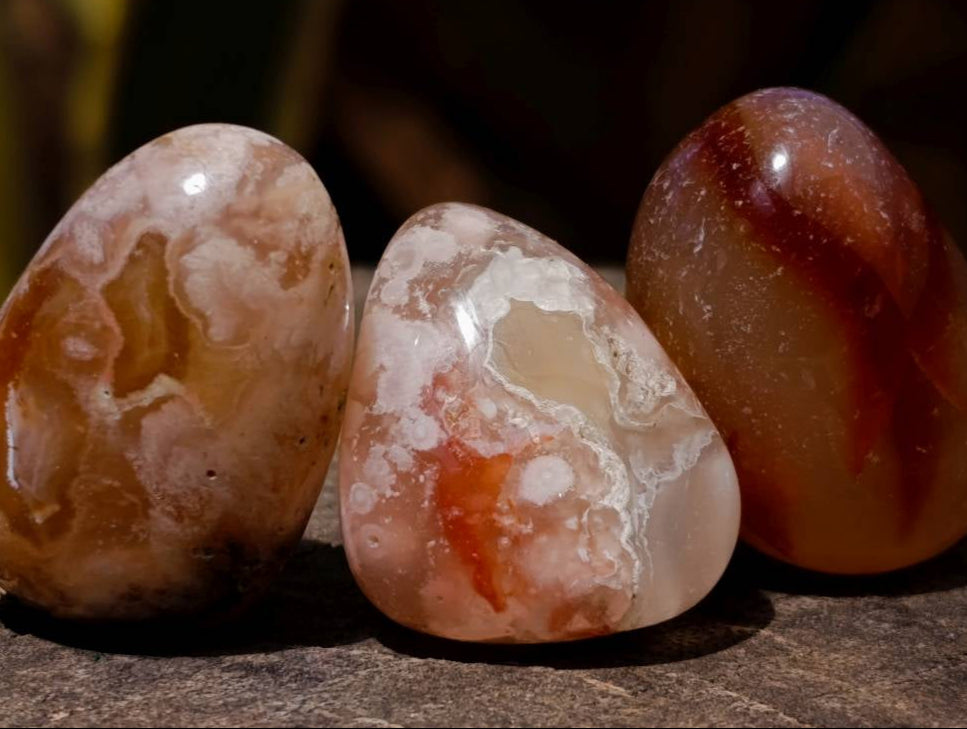 Polished Flower Agate Free Forms x 70 From Antsahalova, Madagascar
