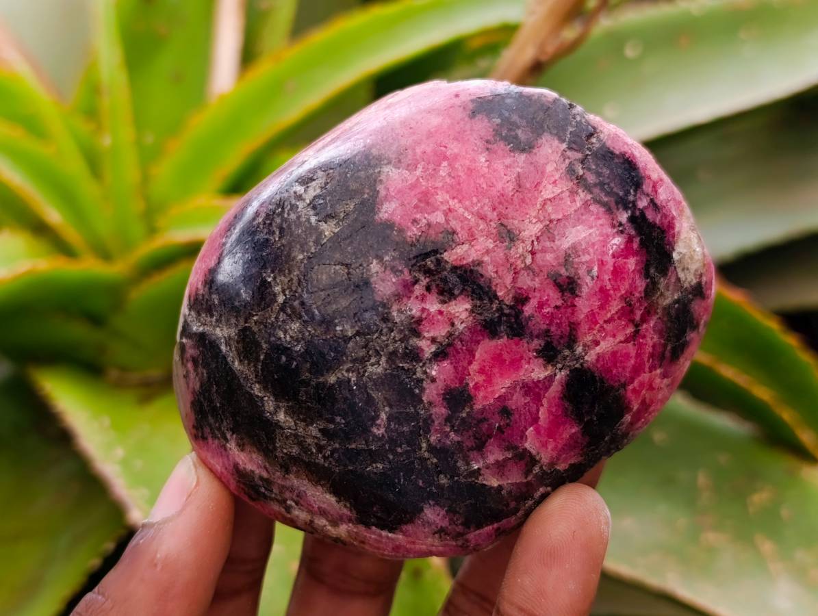 Polished On One Side Rhodonite Nodules x 5 From Ambindavato, Madagasca ...