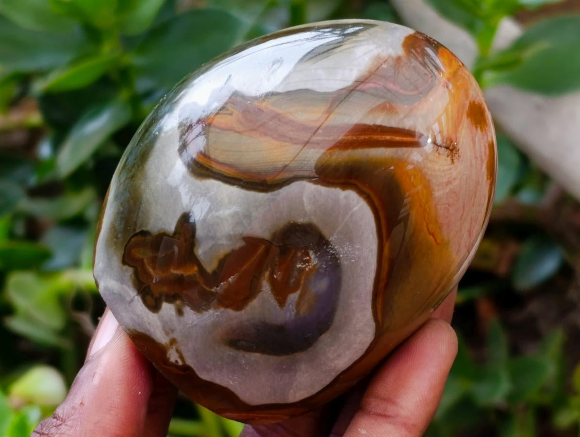 Polished Polychrome Jasper Standing Free Forms x 6 From NW Coast, Mada ...