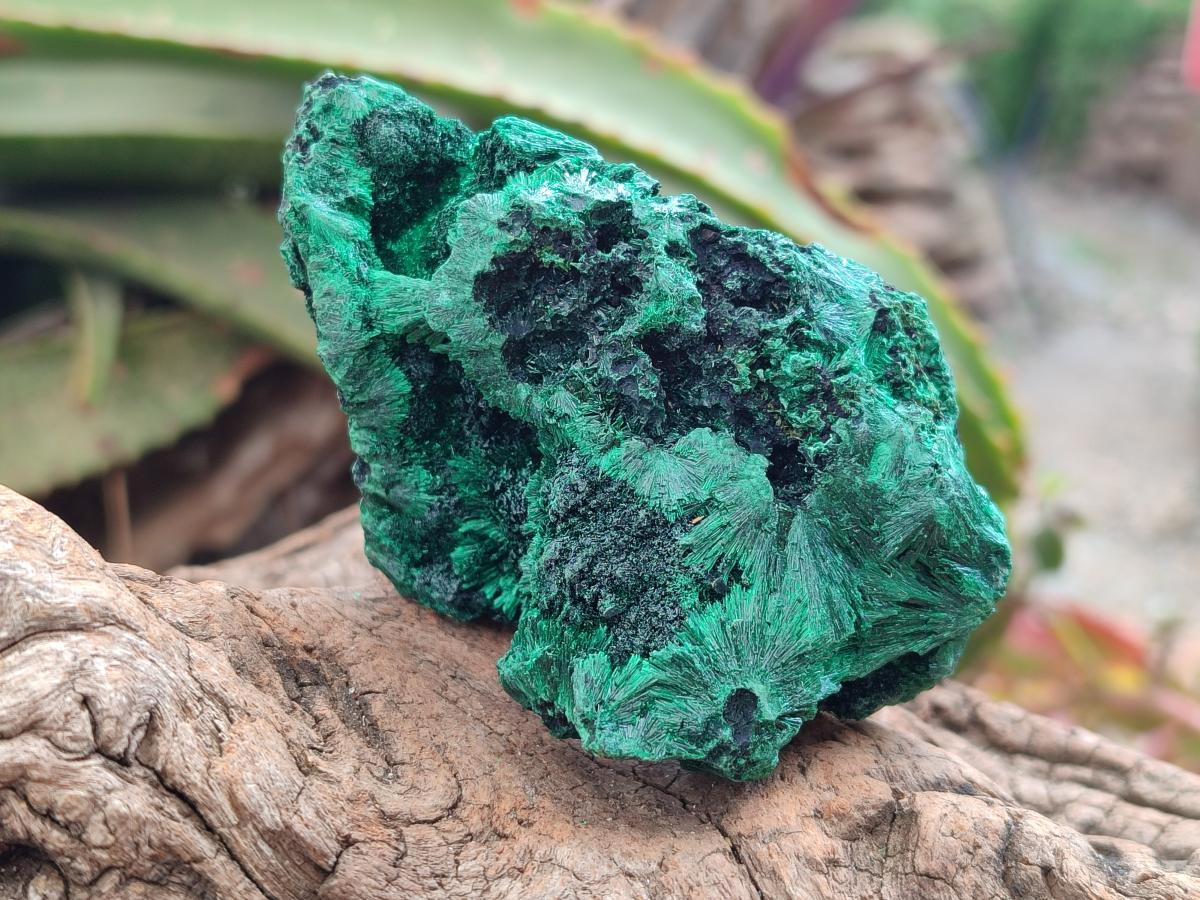 Natural Silky Malachite Specimens x 6 From Kasompe, Congo – Toprock ...